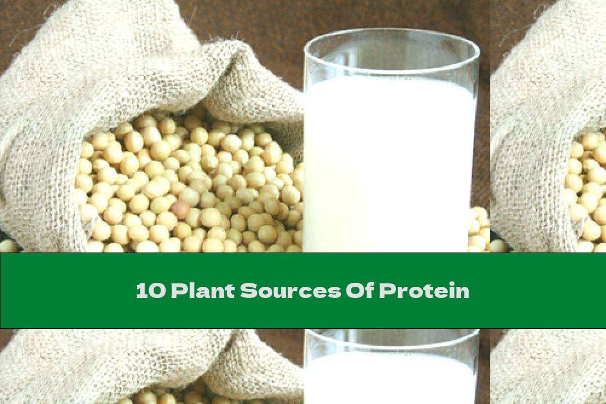 10 Plant Sources Of Protein - This Nutrition