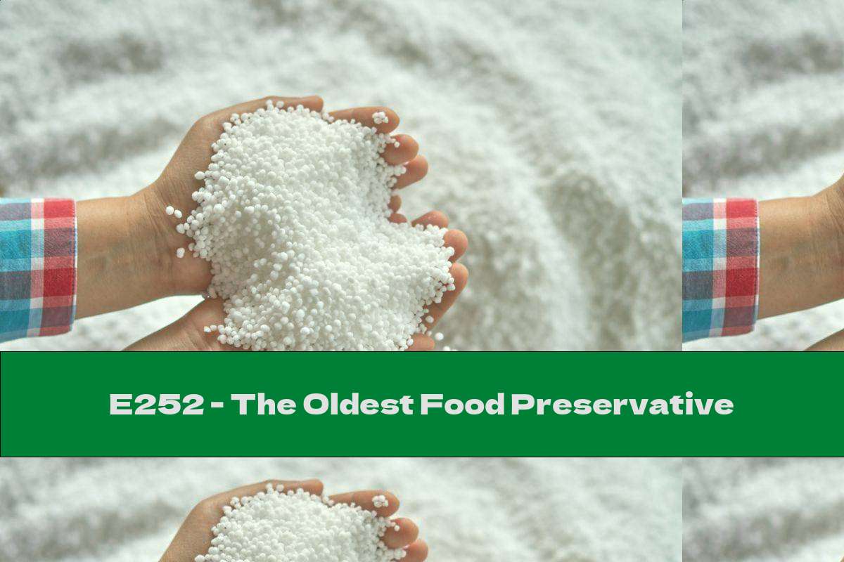 E252 - The Oldest Food Preservative - This Nutrition
