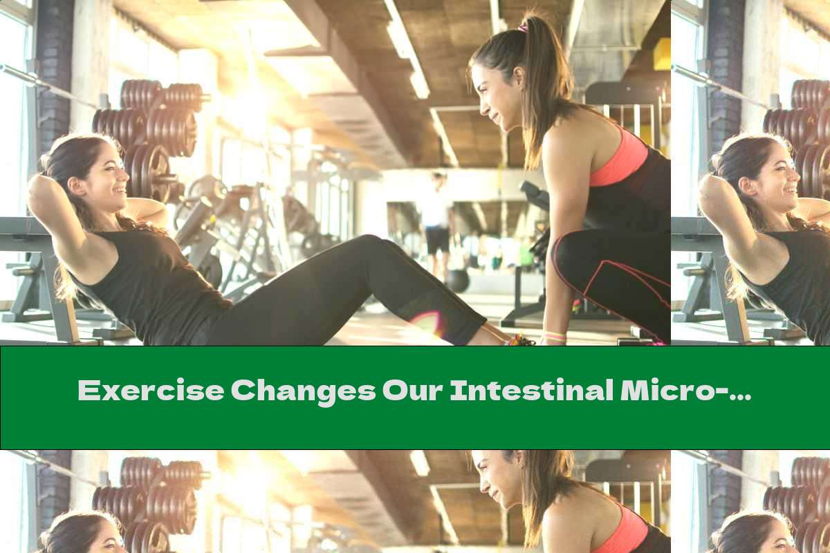 Exercise Changes Our Intestinal Micro-inhabitants - This Nutrition