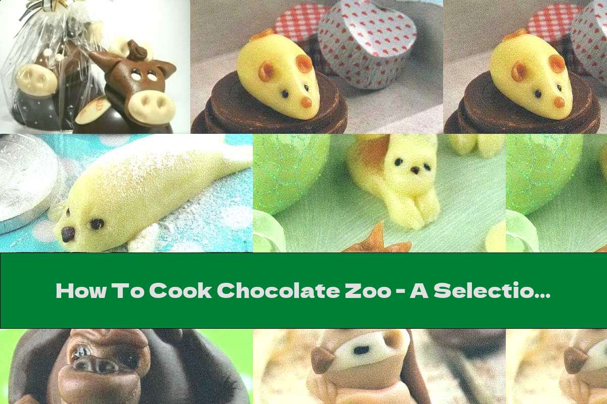 How To Cook Chocolate Zoo - A Selection Of Delicious Animals - Recipe ...