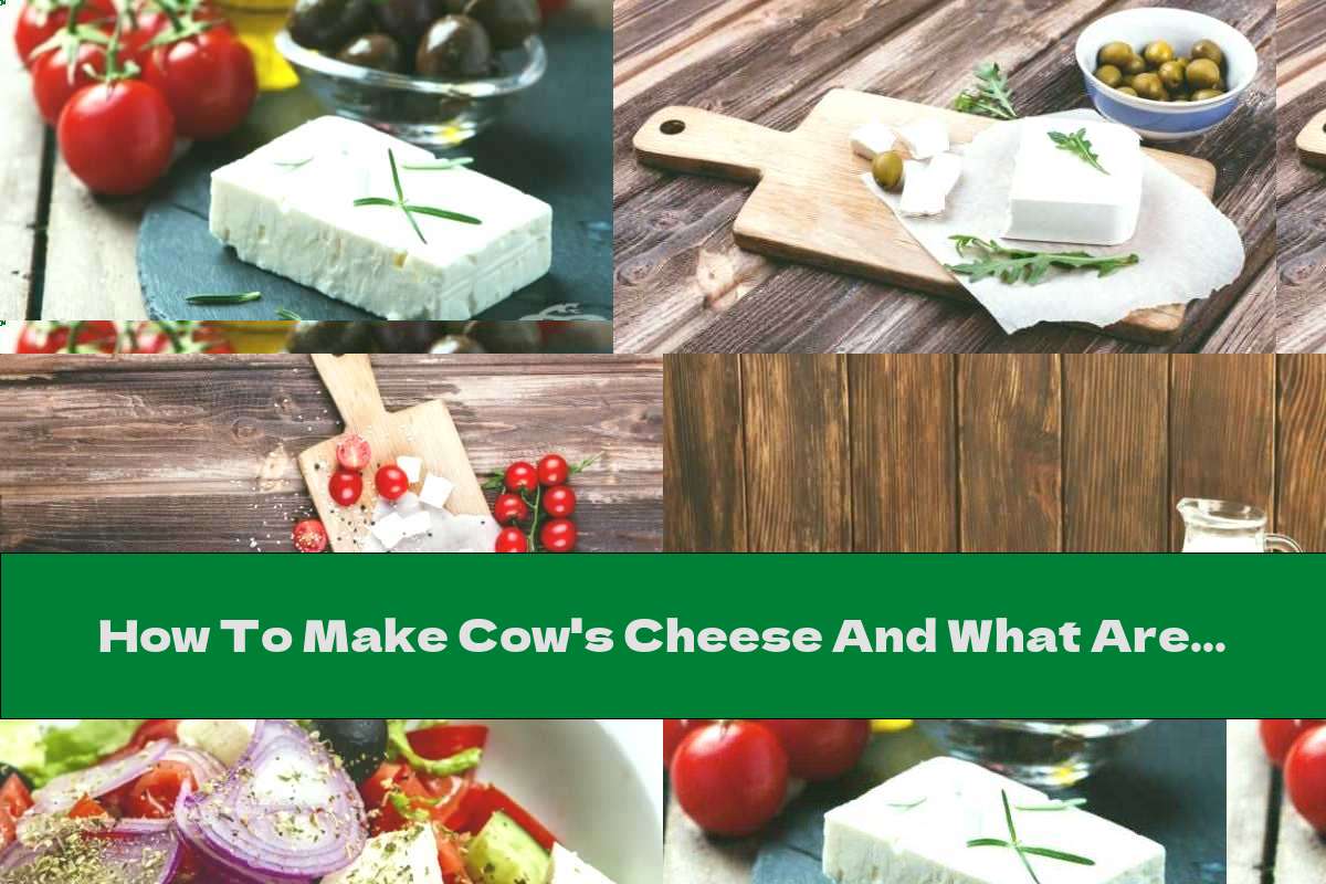 How To Make Cow's Cheese And What Are Its Benefits - This Nutrition