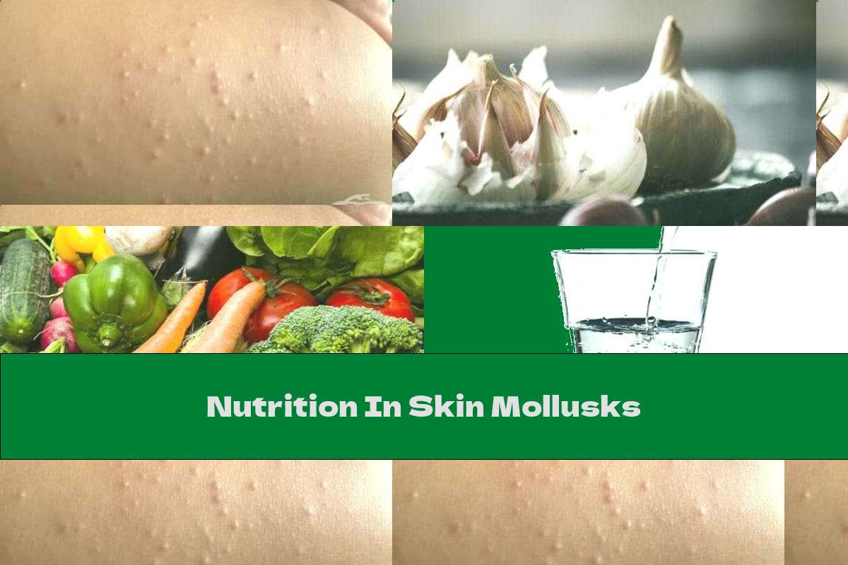 Nutrition In Skin Mollusks - This Nutrition