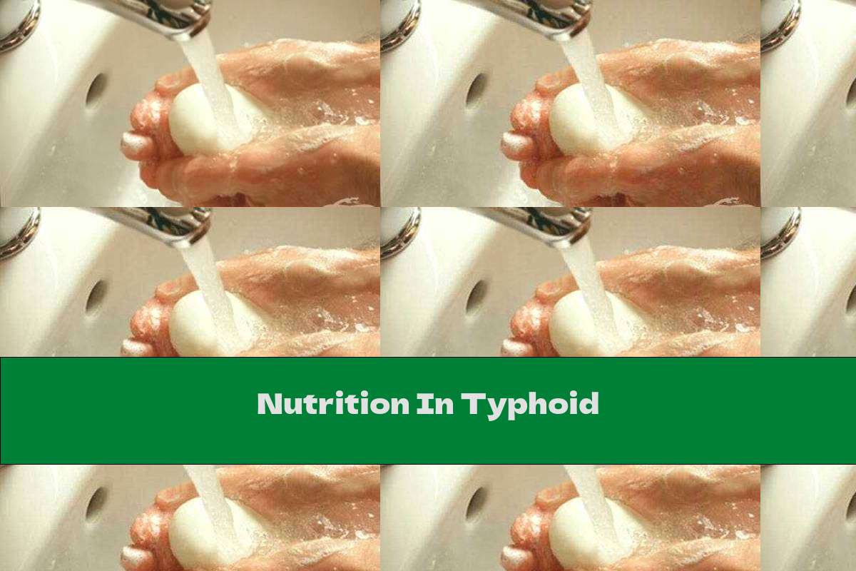 Nutrition In Typhoid - This Nutrition