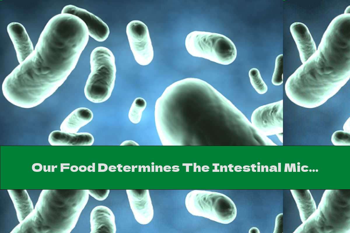 Our Food Determines The Intestinal Microflora - This Nutrition