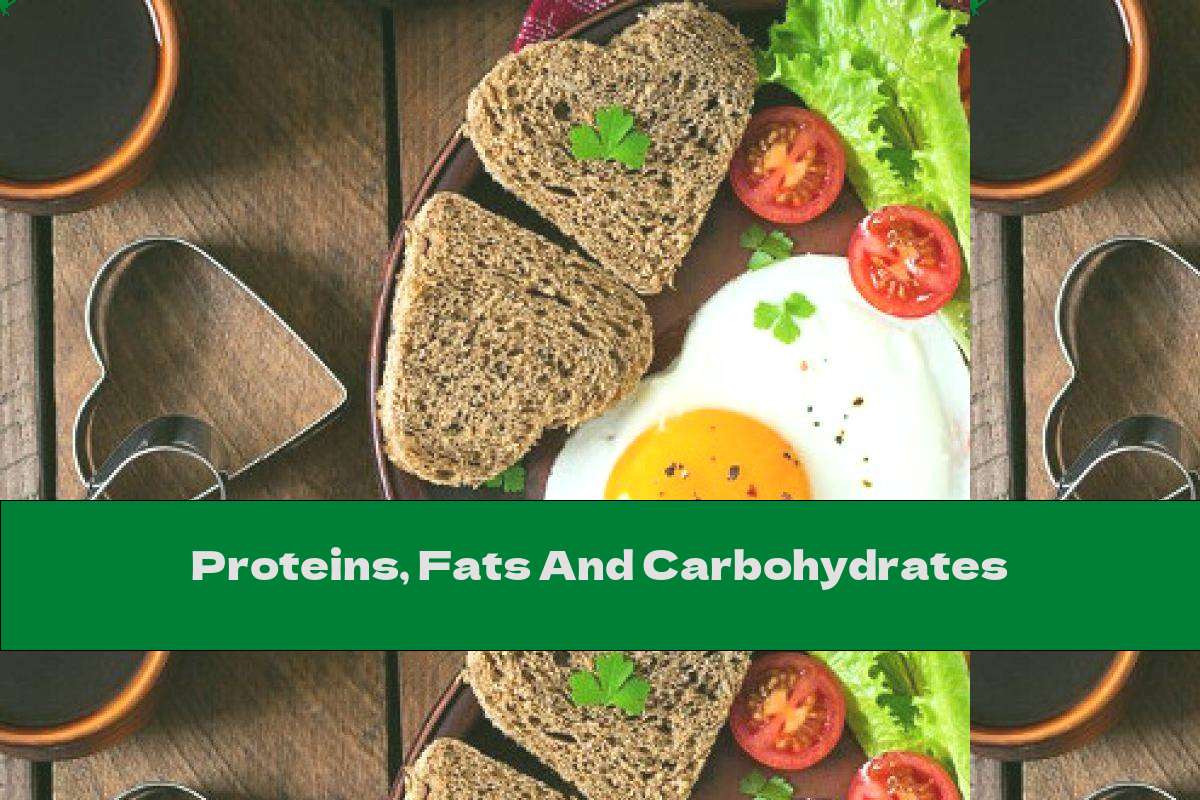 Proteins, Fats And Carbohydrates - This Nutrition