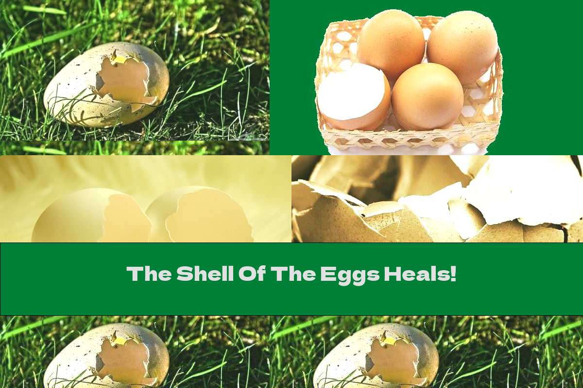The Shell Of The Eggs Heals! - This Nutrition