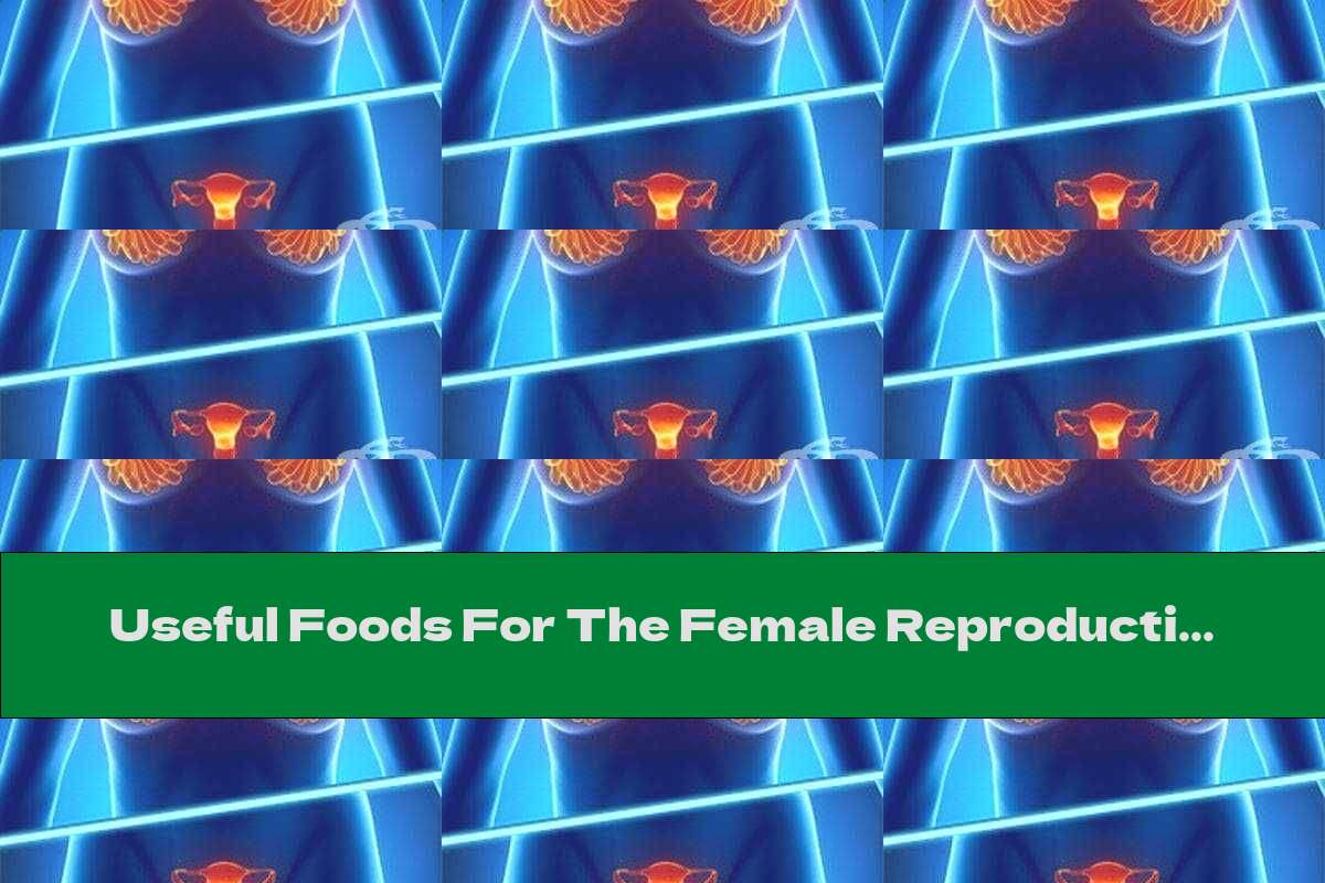 Useful Foods For The Female Reproductive System This Nutrition