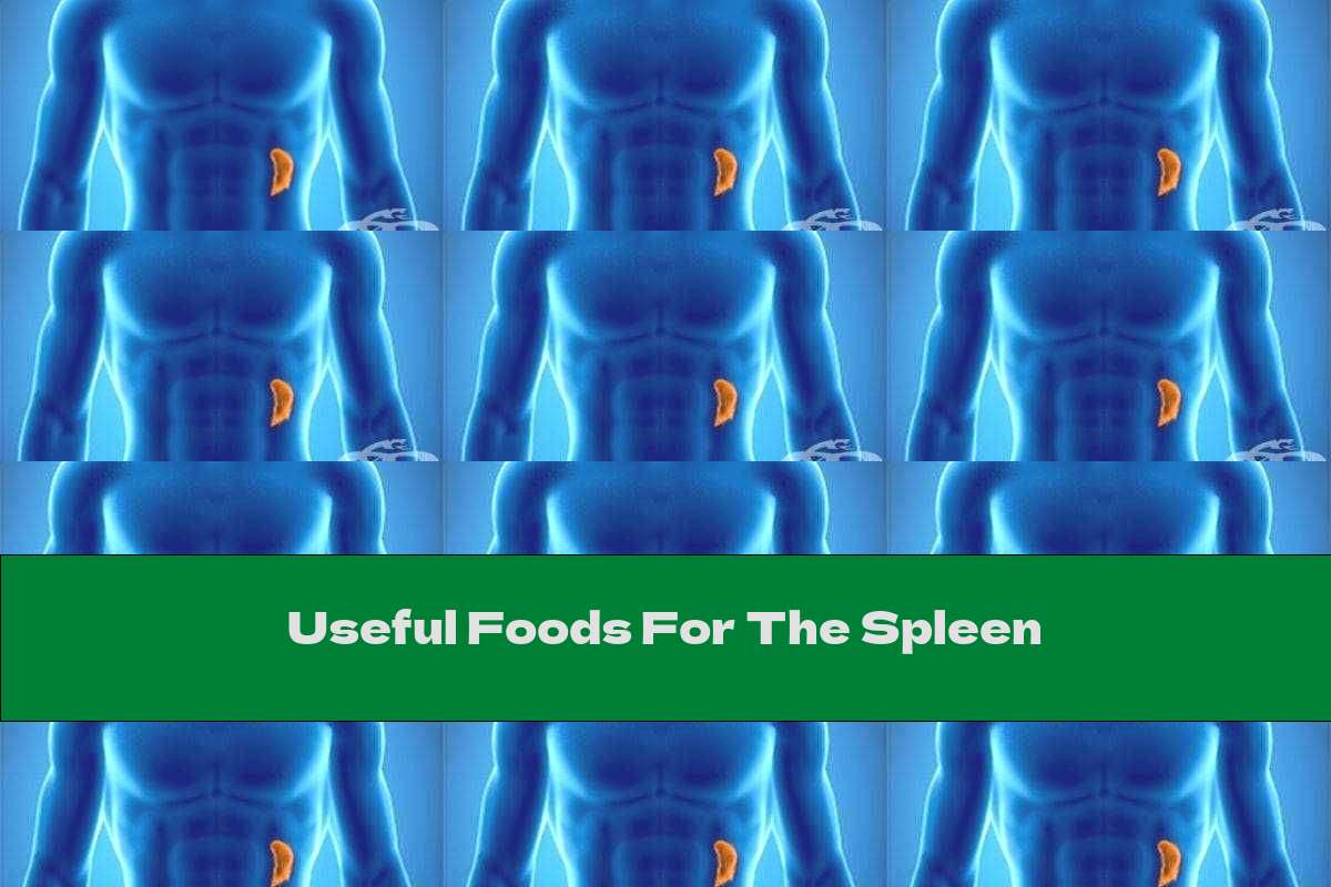 Useful Foods For The Spleen - This Nutrition