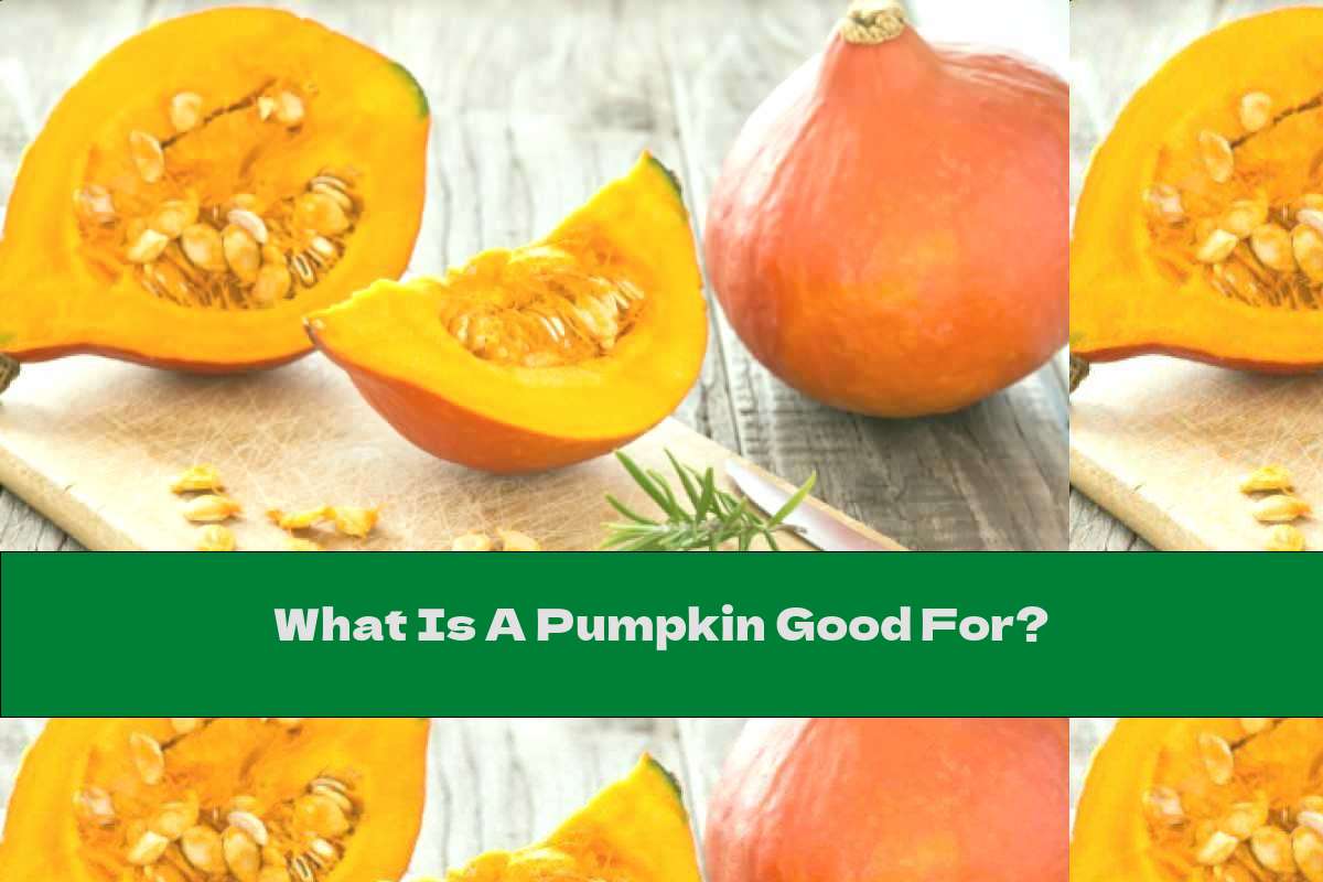 What Is A Pumpkin Good For? - This Nutrition
